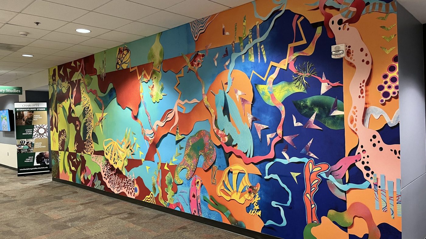 Undergraduate minors - Interdisciplinary Studies